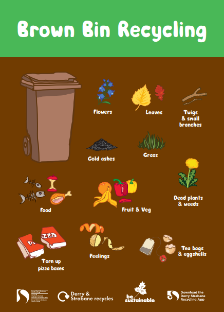 Bin Collections - Derry Strabane